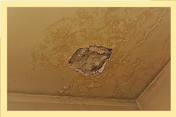 Chi riponde dei danni derivanti dalla rottura della colonna fecale ...