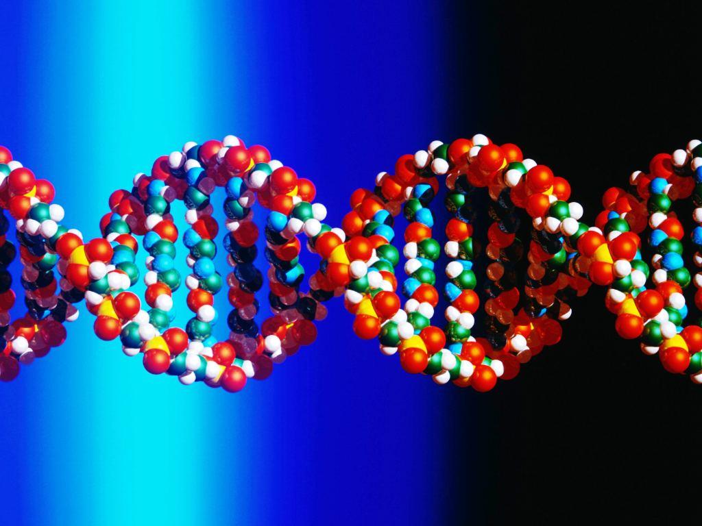 News/Test del DNA errato? Sì al danno parentale anche senza legami di ...
